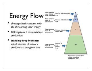 U3.3 Ecosystem energy | PDF