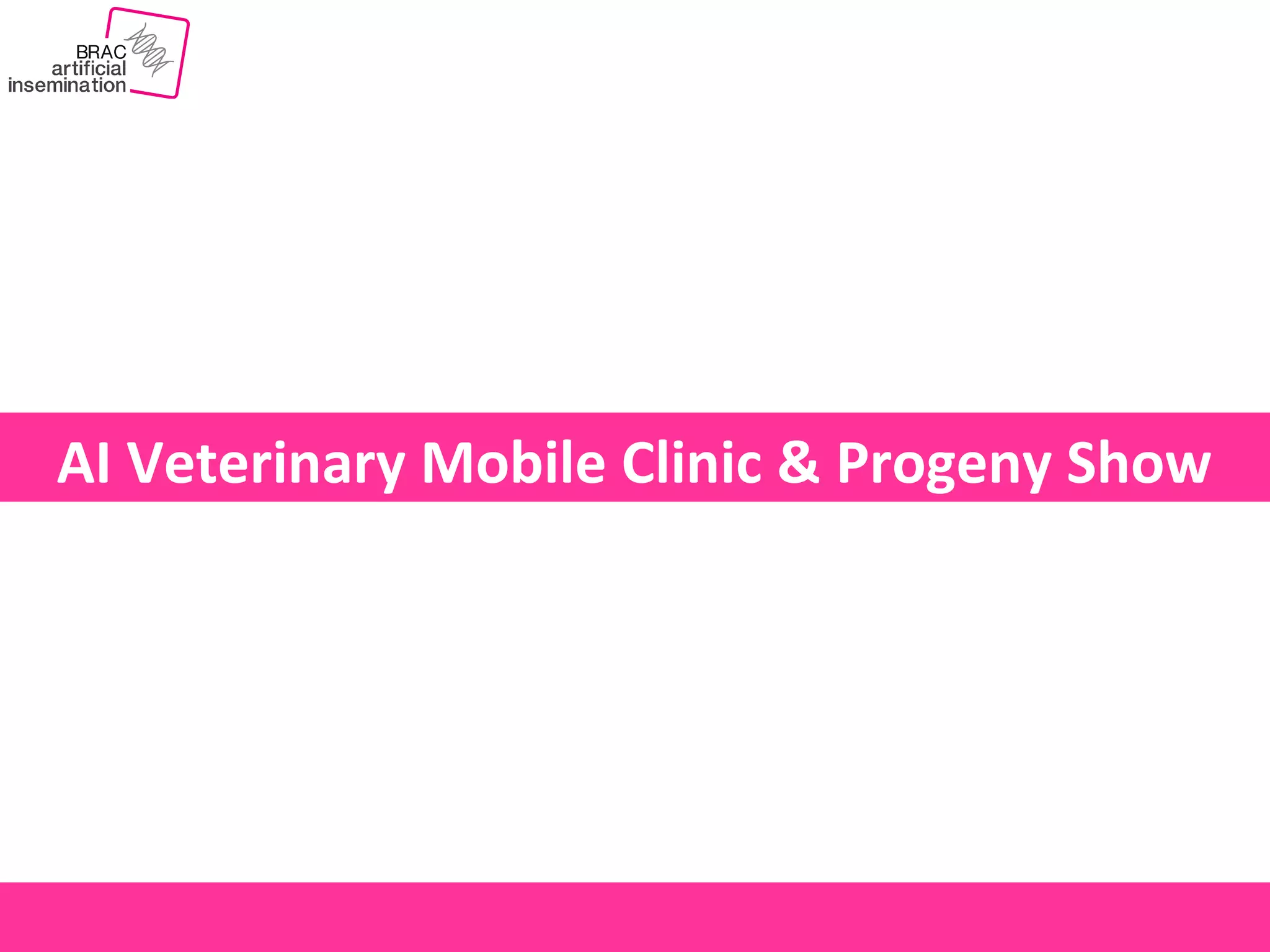 BRAC AI Health Camp | PPT