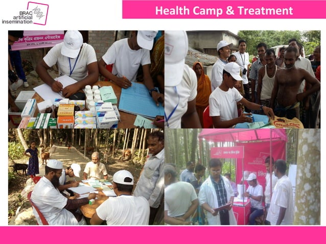 BRAC AI Health Camp | PPT