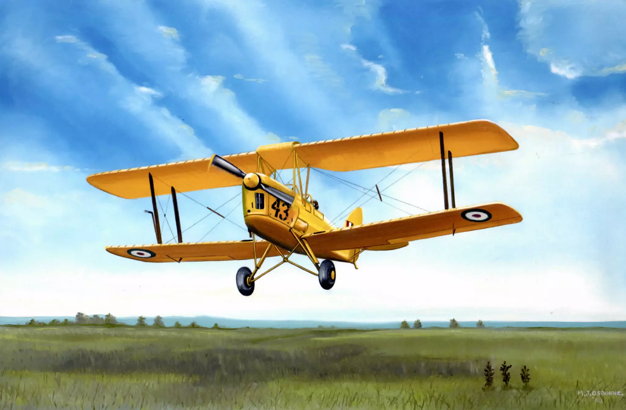 DH Tiger Moth Landing001 | PDF
