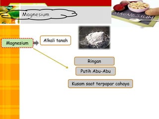 Magnesium (Mg) dalam Tubuh Manusia oleh Wildayati (F1C115073 ...