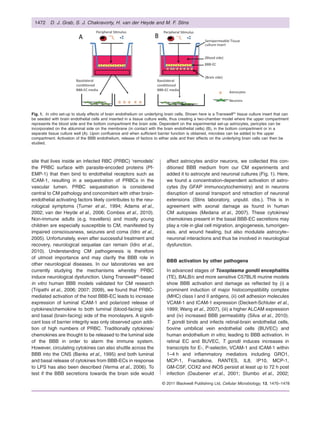 Grab Chakravorty Heyde and STINS microbial interactions neuronal ...