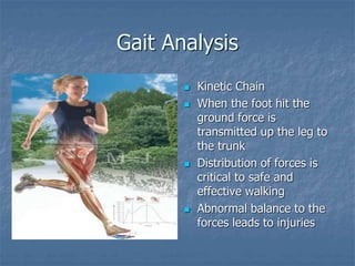 Balance Lecture | PPTX | Physical Therapy | Wellness