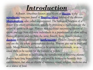 The Beauty of Flowers | PPT