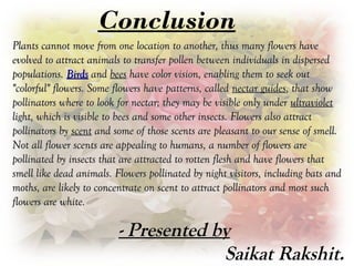 The Beauty of Flowers | PPT