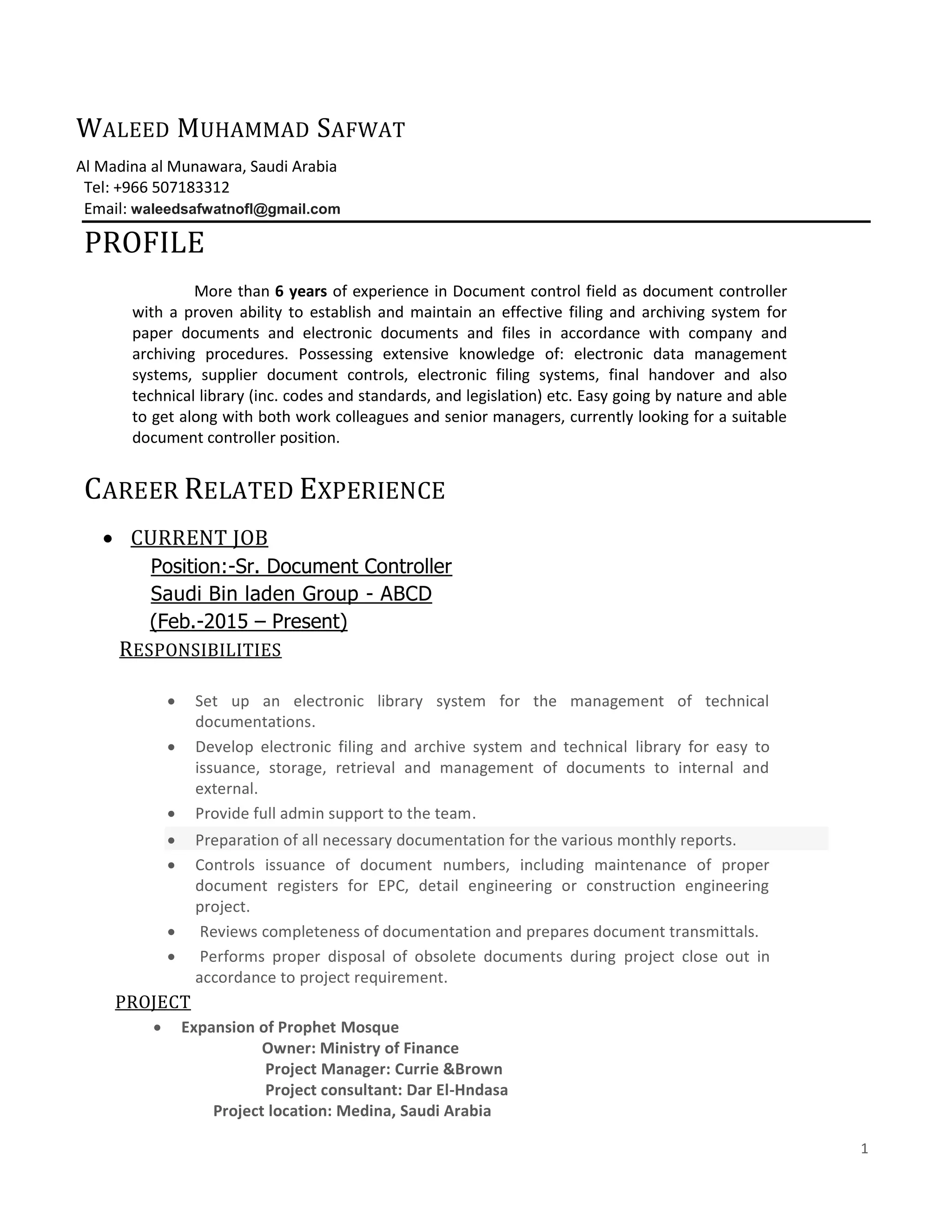 KSA Resume Waleed_Safwat | PDF