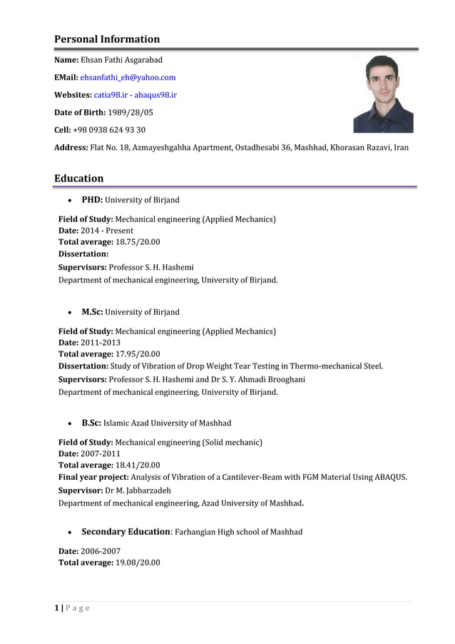 CV-Ehsan Fathi(en) | PDF