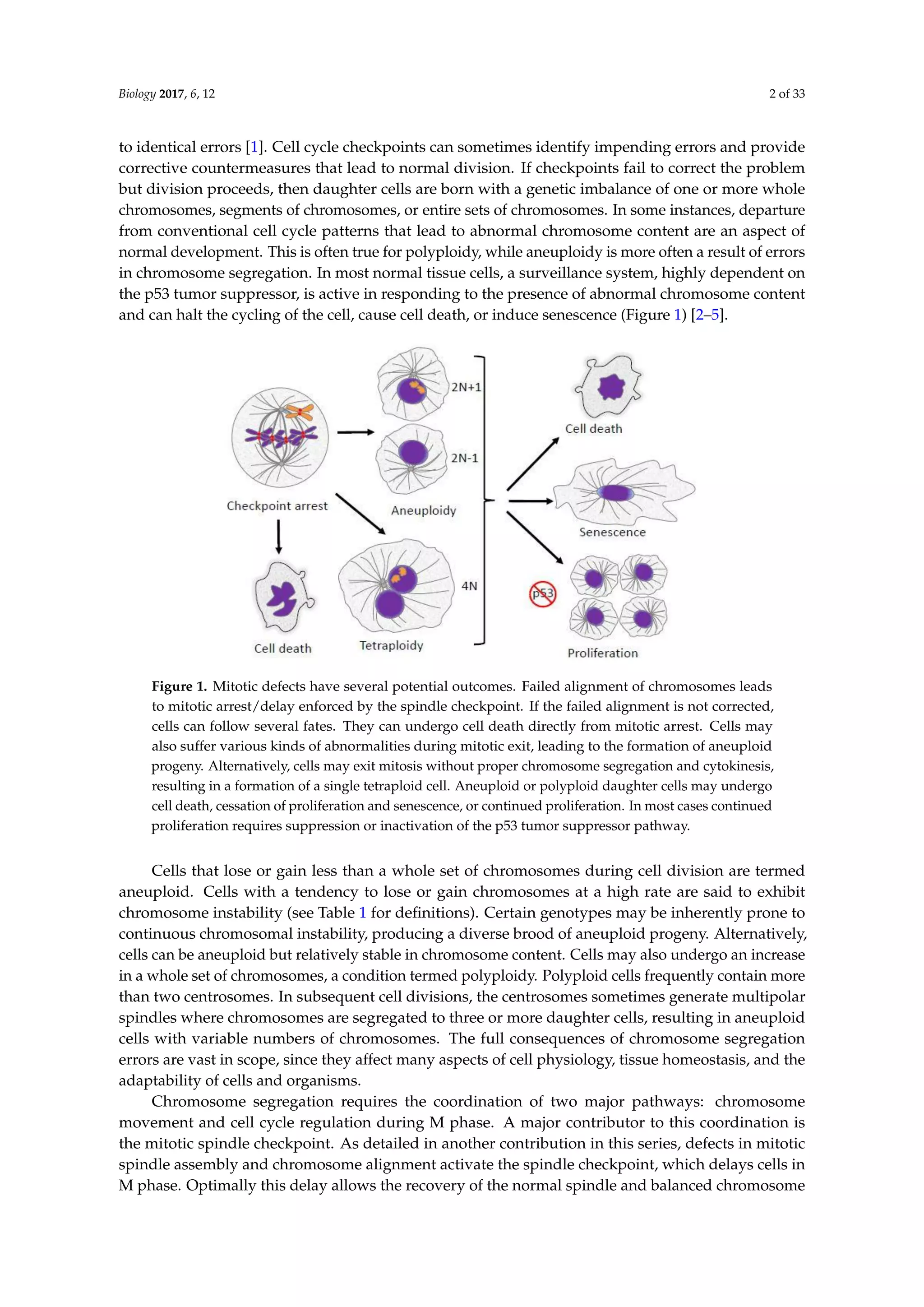 BIOLOGY errors in mitosis and meosis | PDF