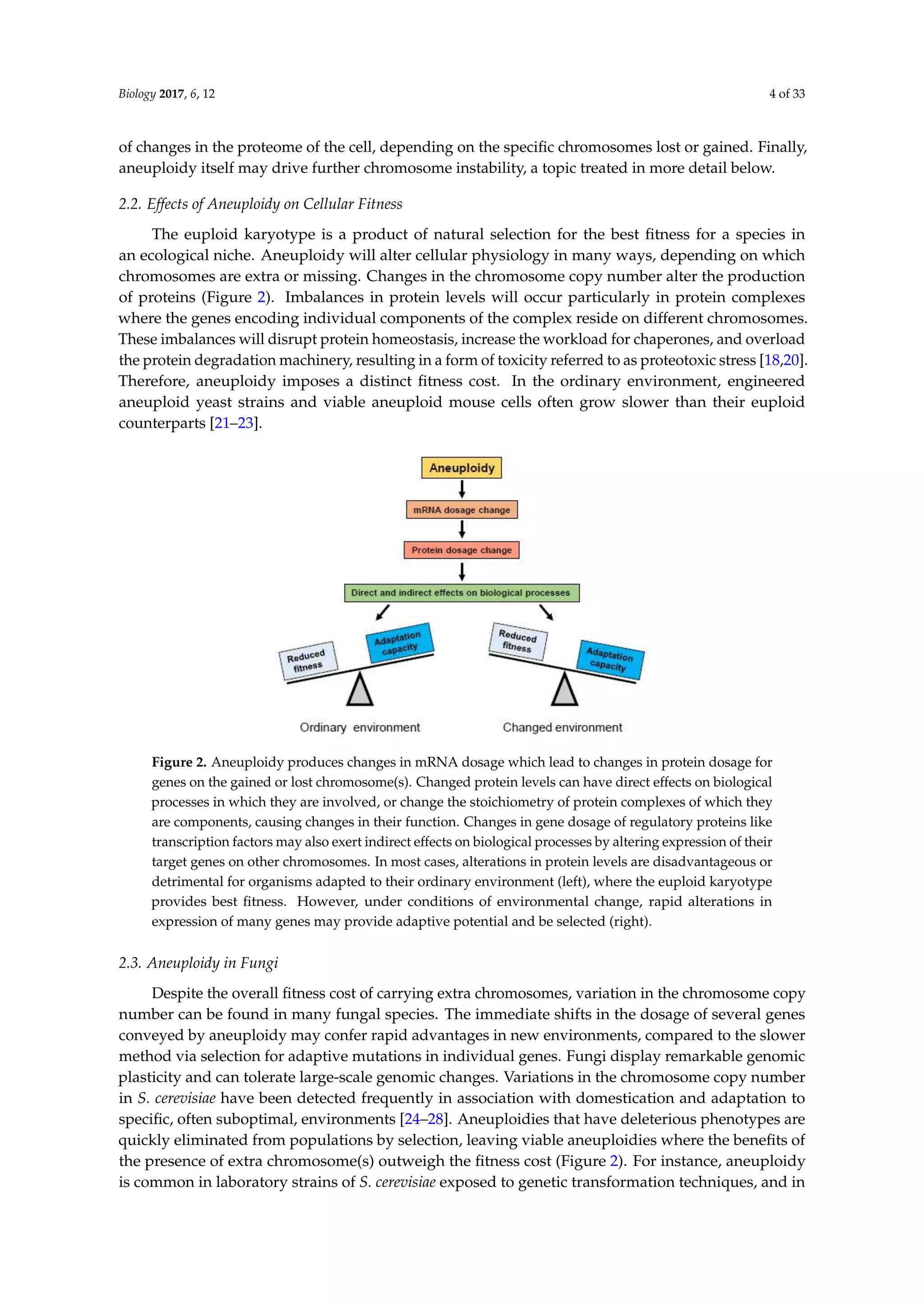 BIOLOGY errors in mitosis and meosis | PDF