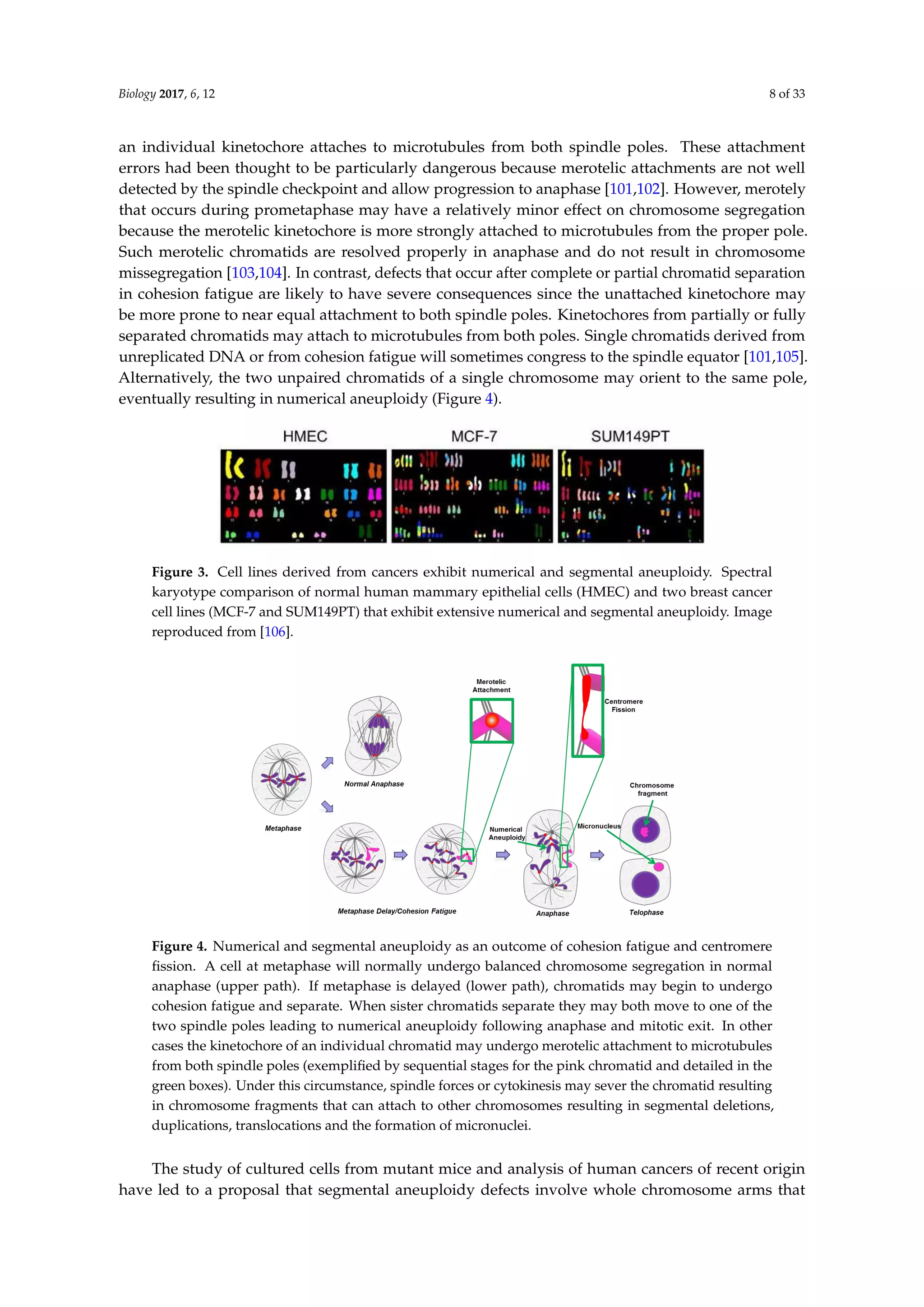 BIOLOGY errors in mitosis and meosis | PDF