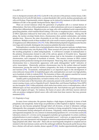BIOLOGY errors in mitosis and meosis | PDF