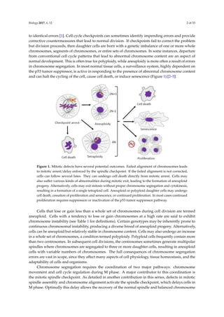 BIOLOGY errors in mitosis and meosis | PDF