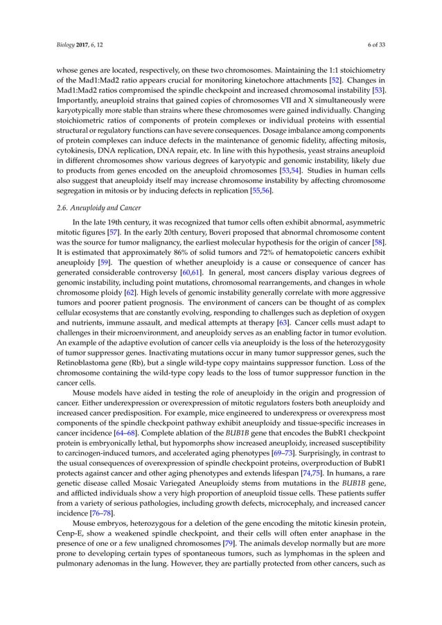 BIOLOGY errors in mitosis and meosis | PDF | Biological Sciences | Science