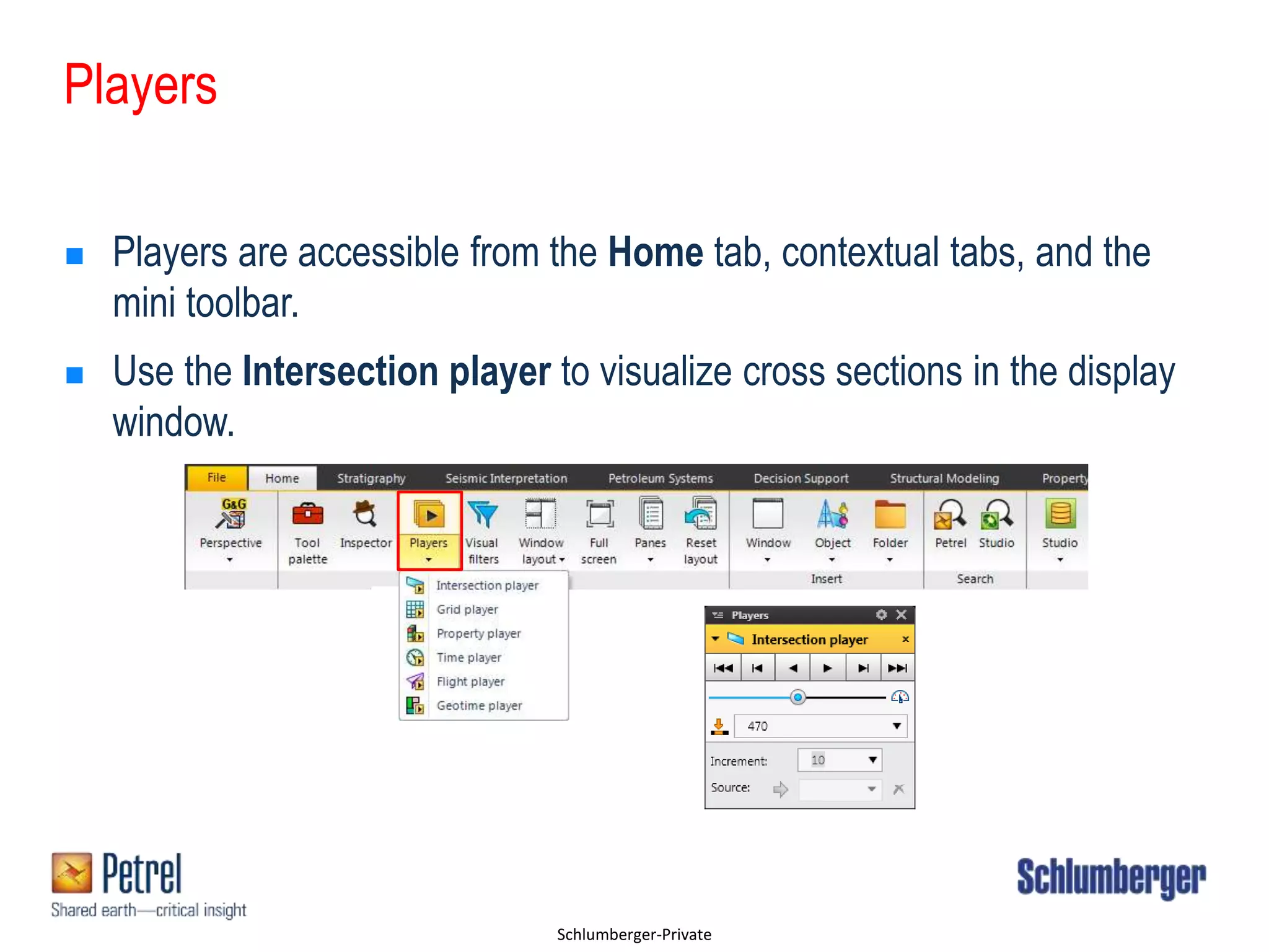 Petrel F 1 getting started- 2018 v1.1 | PPTX