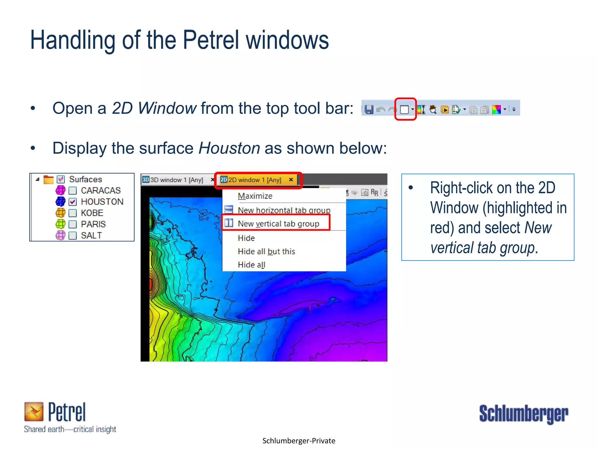 Petrel F 1 getting started- 2018 v1.1 | PPTX | Operating Systems | Computer Software and ...
