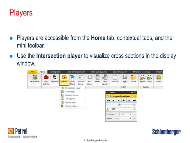 Petrel F 1 getting started- 2018 v1.1 | PPTX | Operating Systems | Computer Software and ...