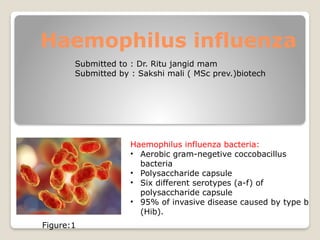 Haemophilus_influenza_A brief introduction and an overview. | PPTX