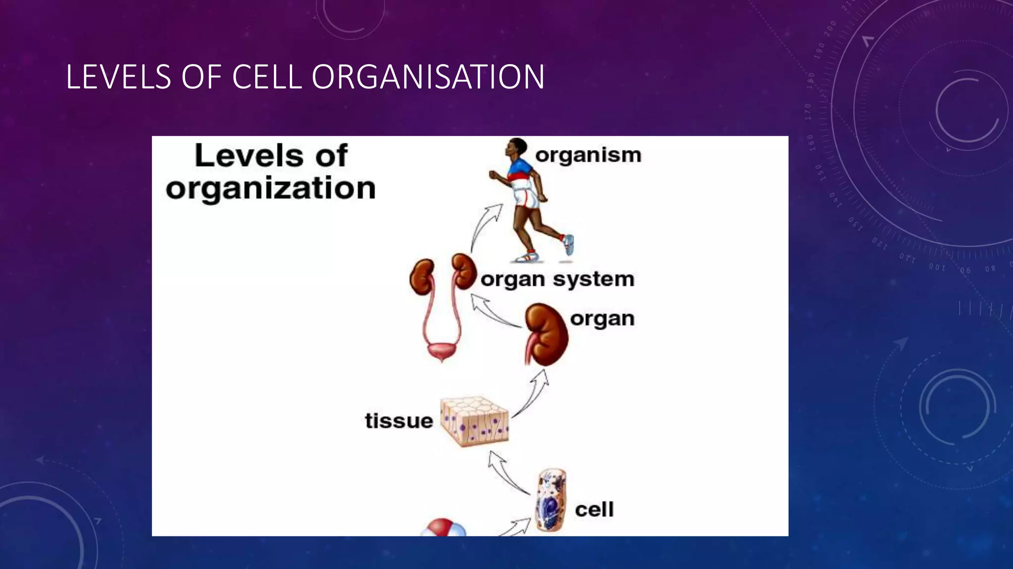 Form 1 Chapter 2- Cell as a Unit of Life | PPTX
