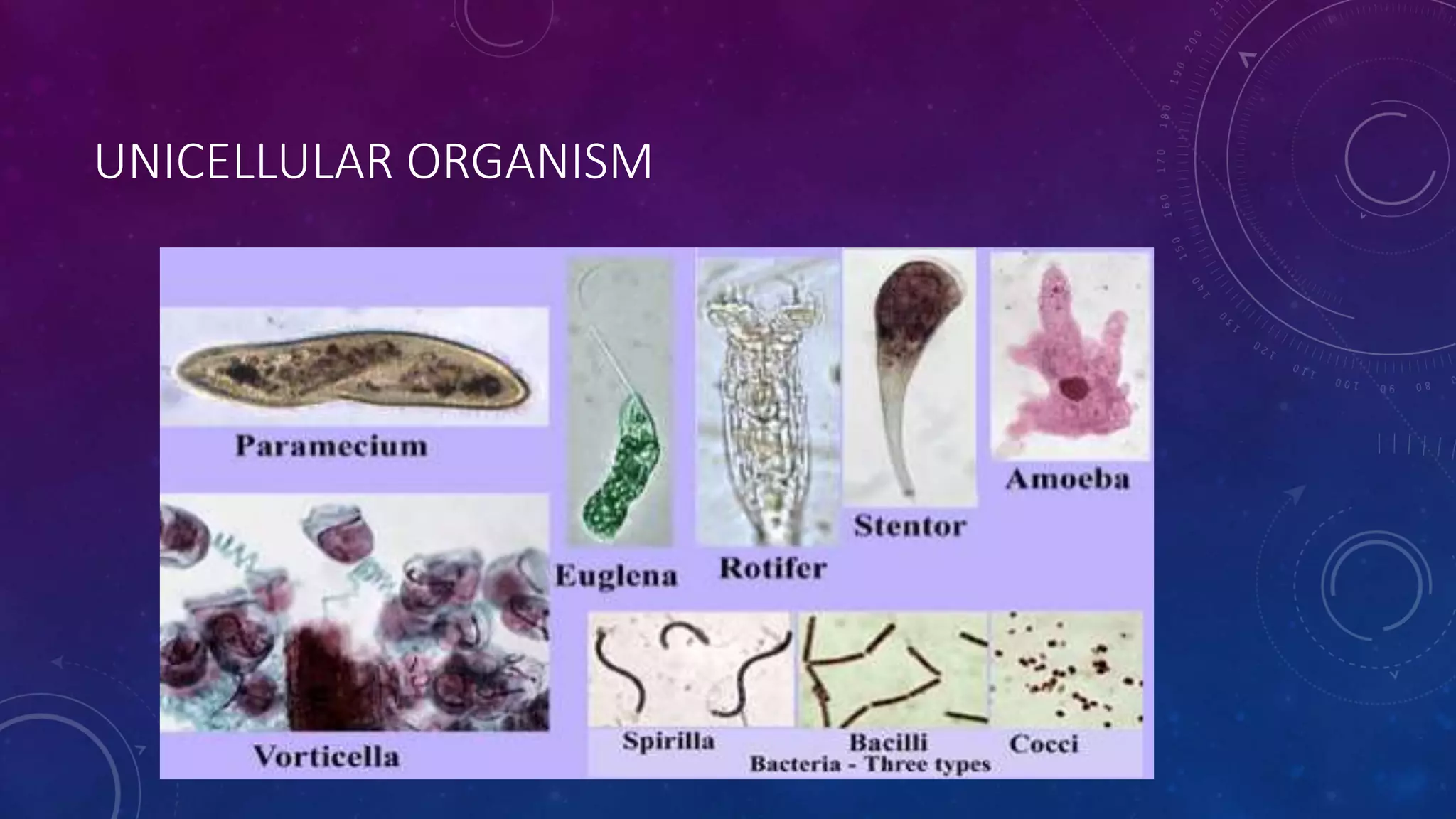 Form 1 Chapter 2- Cell as a Unit of Life | PPTX