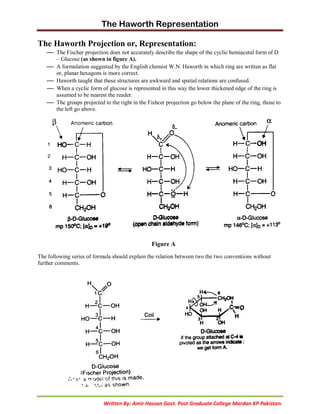 Maltose Fischer Projection