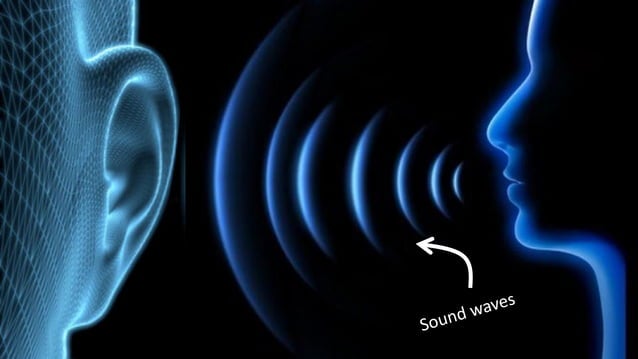 F2-C10 SOUND WAVES.pdf | Physics | Science