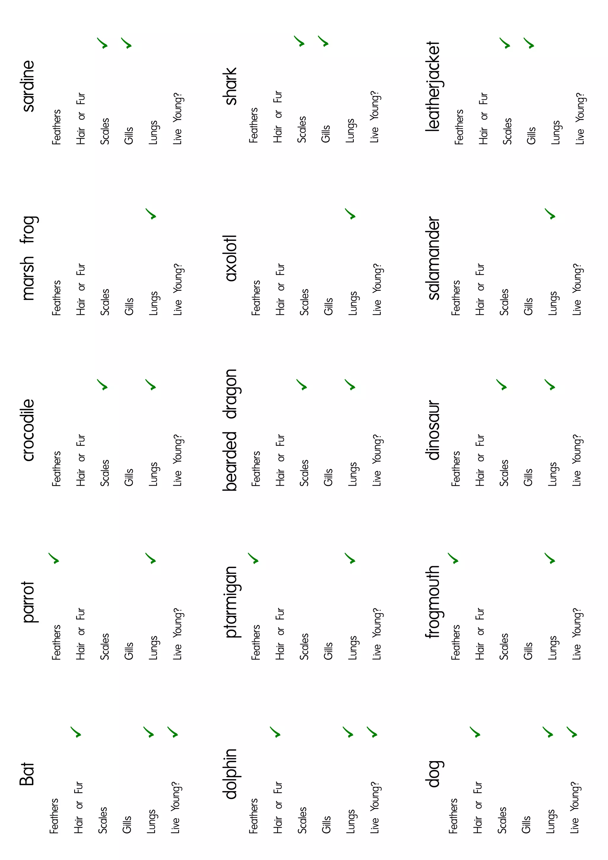 classification keys - animal cards | PDF