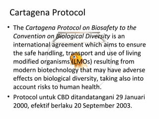 F2. gmo & biosafety protocol | PPT