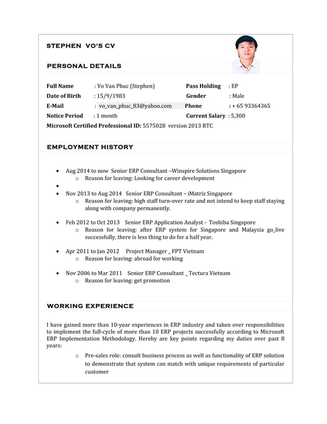 Stephen Vo _Senior ERP Consultant | PDF