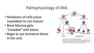 Treatment of Acute Myeloid Leukemia & Supportive Care | PPTX