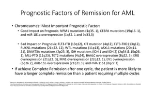 Treatment of Acute Myeloid Leukemia & Supportive Care | PPTX