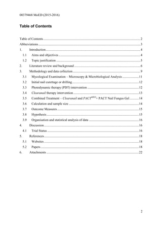 BSc Dissertation | PDF