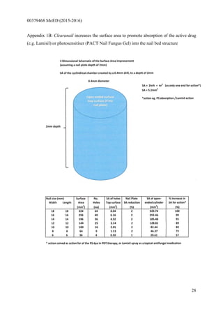 BSc Dissertation | PDF