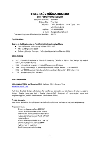 CV-Fidel Zuniga | DOC | Civil Engineering Industry | Industries