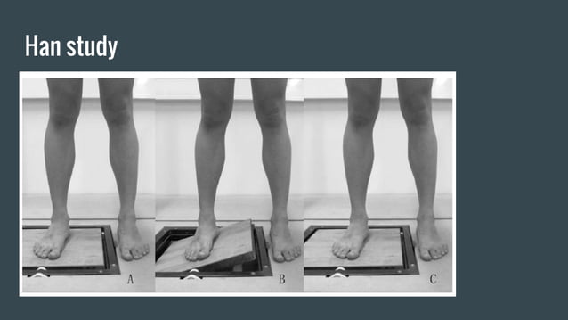 -Proprioception | PDF | Physical Therapy | Wellness