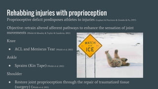 -Proprioception | PDF