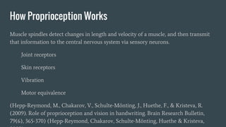 -Proprioception | PDF