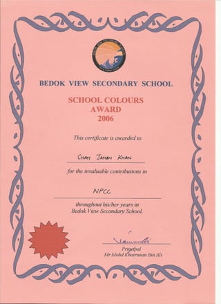 Shahs Colours Award | PDF