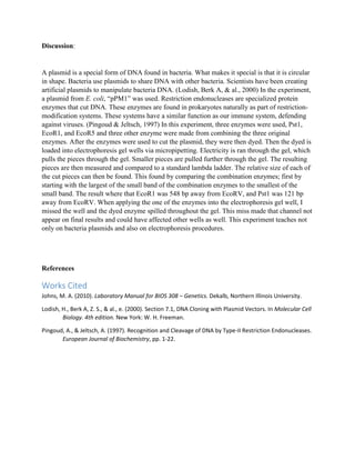 Exp 4 Lab Report | PDF