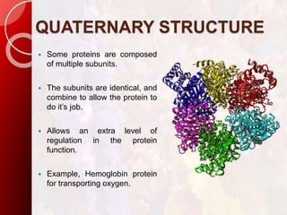 Lecture 4 - Proteins and Disease | PPTX