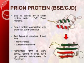 Lecture 4 - Proteins and Disease | PPTX