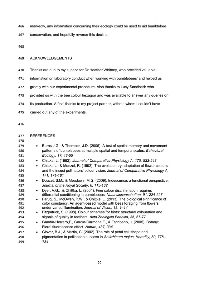Can Bumblebees Distinguish Between Different Types of Iridescence | PDF ...