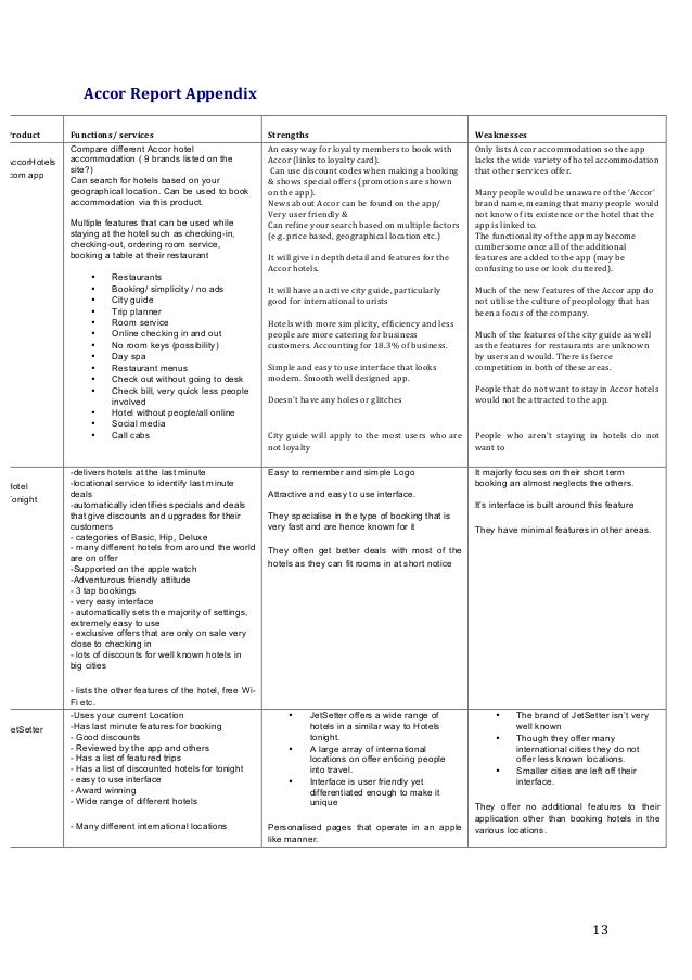 Accor Marketing Report with Appendix