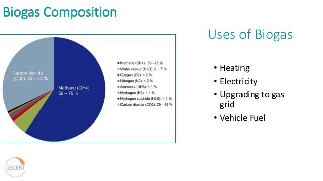 Biogas Composition