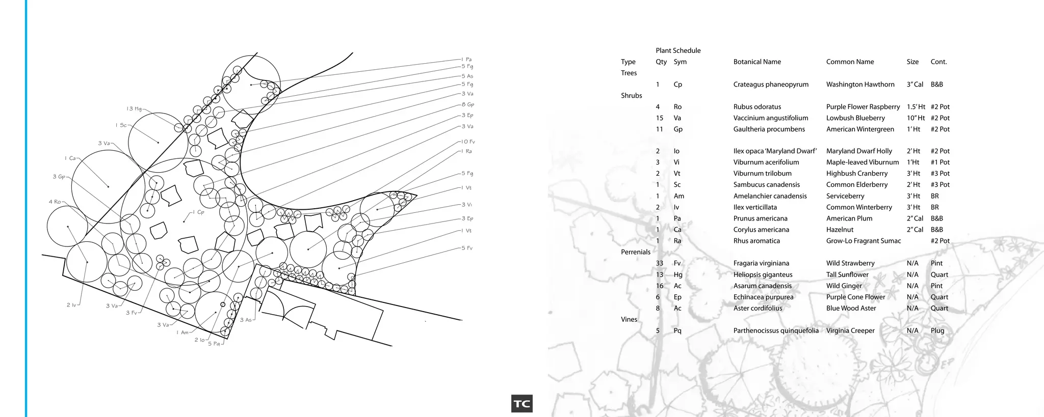 Portfolio - Interactive - GAI | PPT