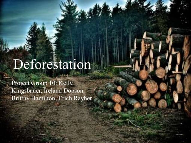 Deforestation! | PPT