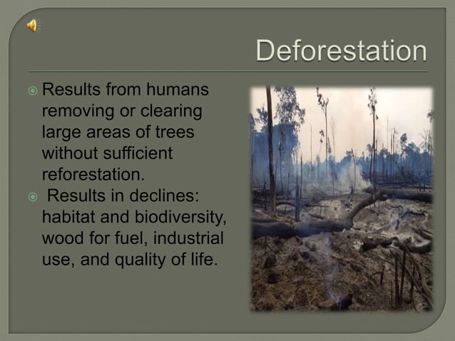 Deforestation! | PPT