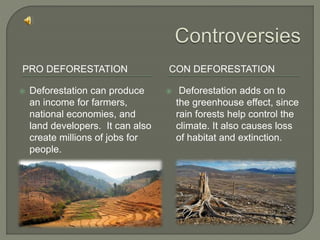 Deforestation! | PPTX