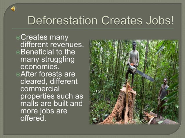 Deforestation! | PPT