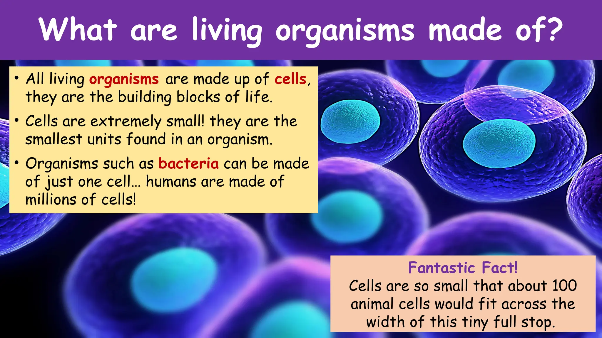 f2eb66b90c22sdfss5cf9f0652640c13c6f.pptx