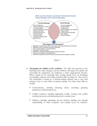 Agility Consulting -- Matrix Organizations | PDF